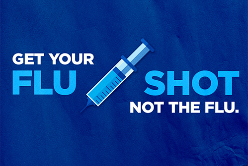 Influenza Resources