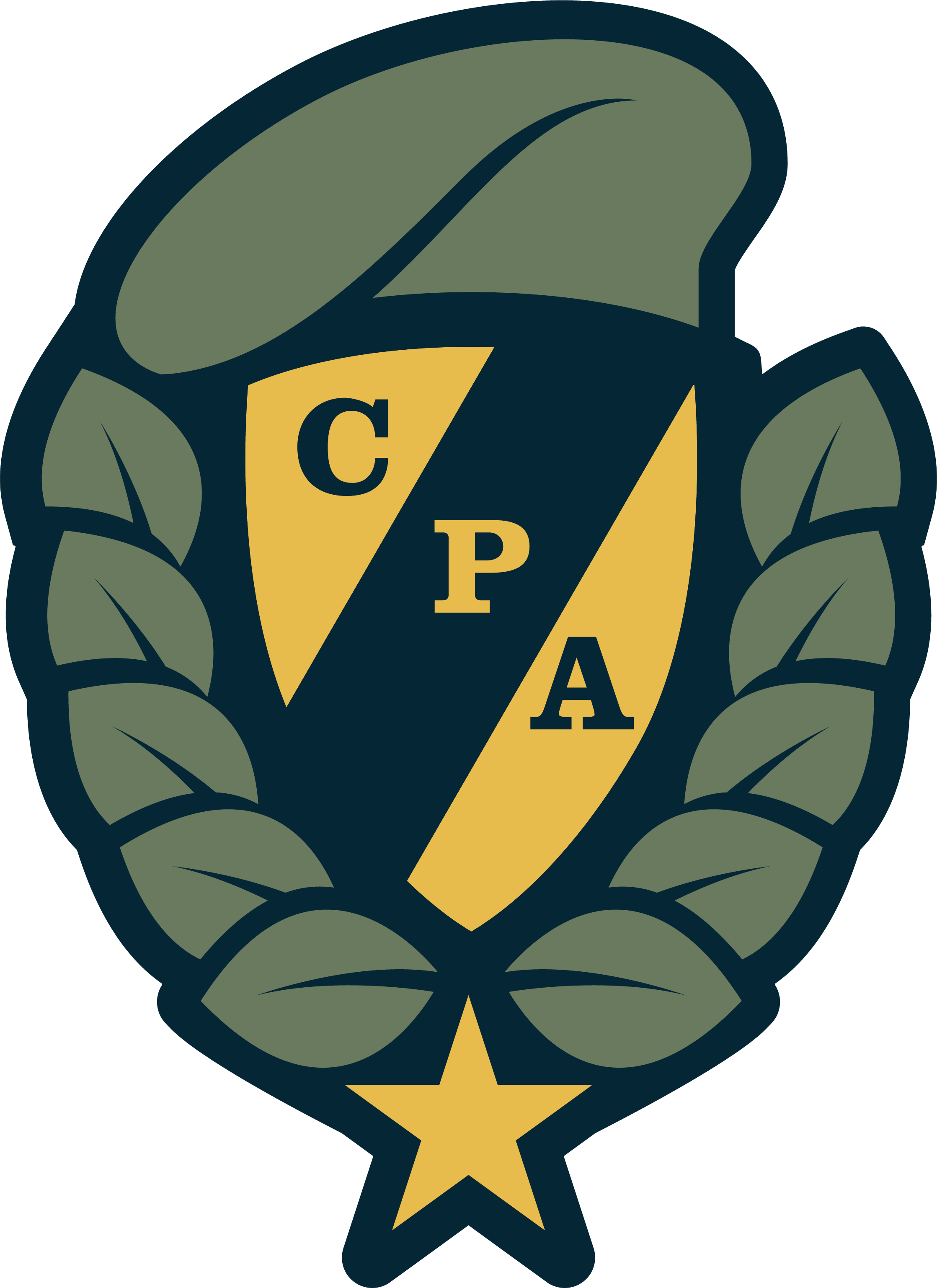 Colin Powell Academy