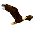 Patuxent Elementary