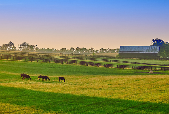 Future Farmers of America
