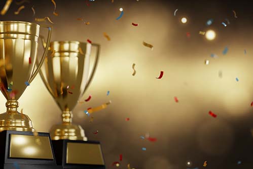 Our 2023 Stem Fair Winners