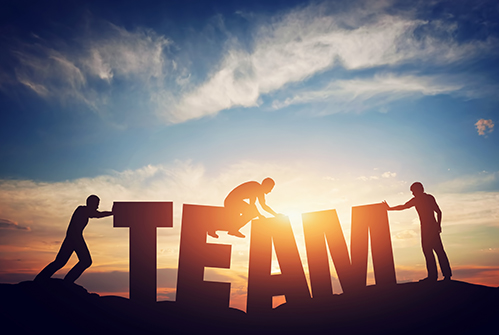 Meet Our Team